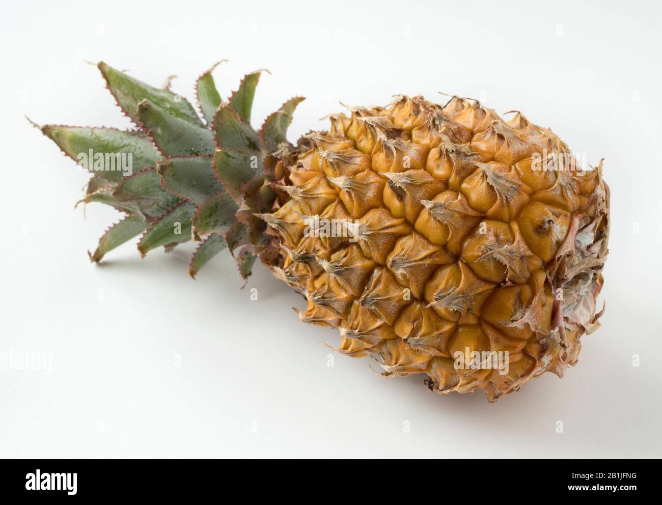 Mini ananas immagini e fotografie stock ad alta risoluzione - Alamy