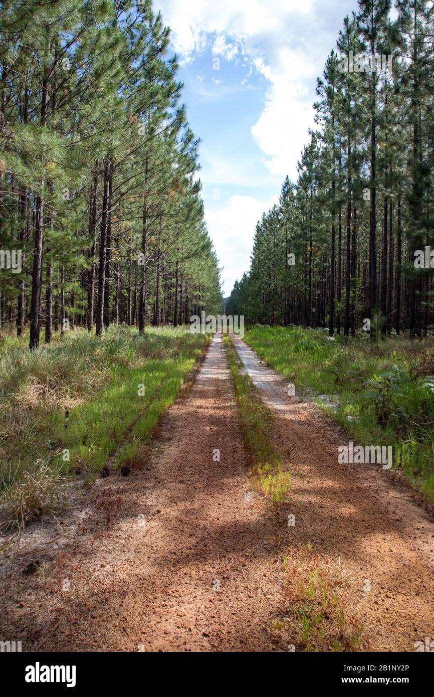 Traffico rurale dell'autostrada immagini e fotografie stock ad alta ...