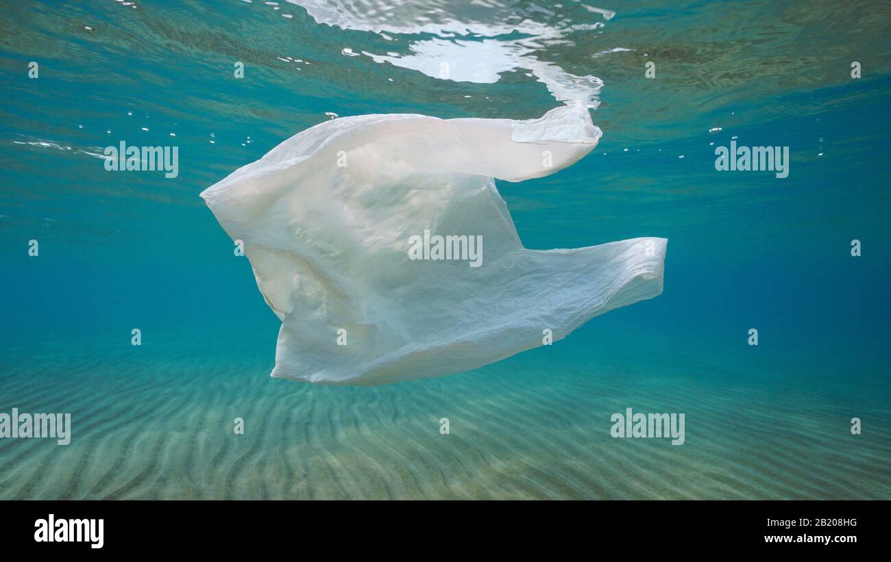 Inquinamento della plastica in mare sott'acqua, un sacchetto di ...