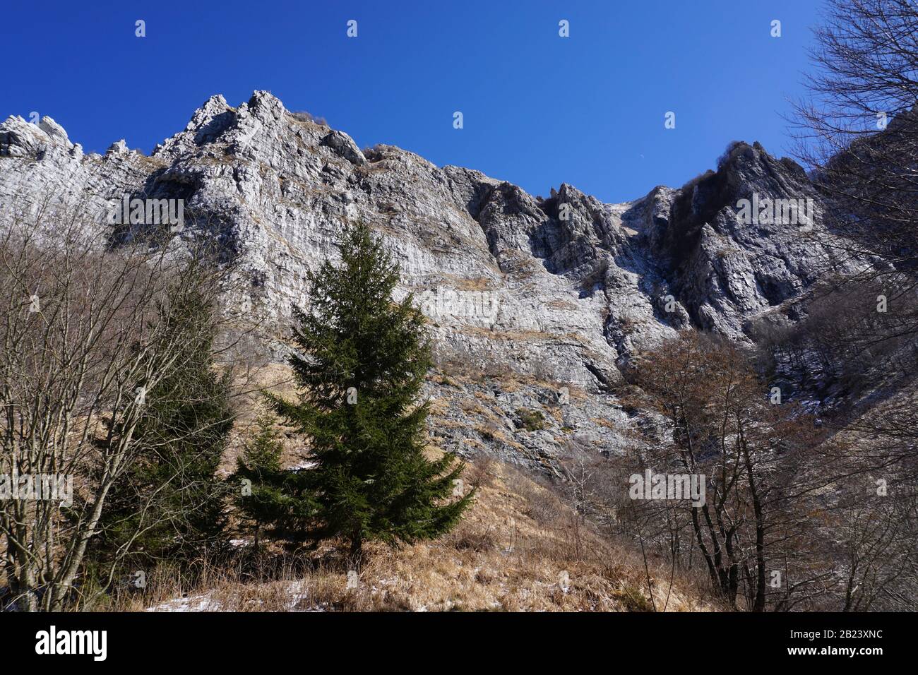 Monte corchia immagini e fotografie stock ad alta risoluzione - Alamy