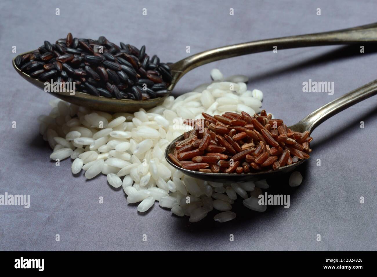 Riso riso immagini e fotografie stock ad alta risoluzione - Alamy