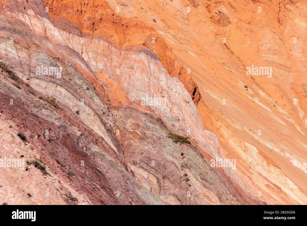 7 colori immagini e fotografie stock ad alta risoluzione - Alamy