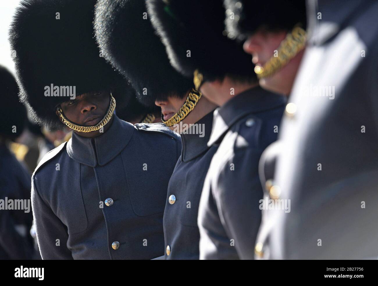 Parata di st david immagini e fotografie stock ad alta risoluzione - Alamy