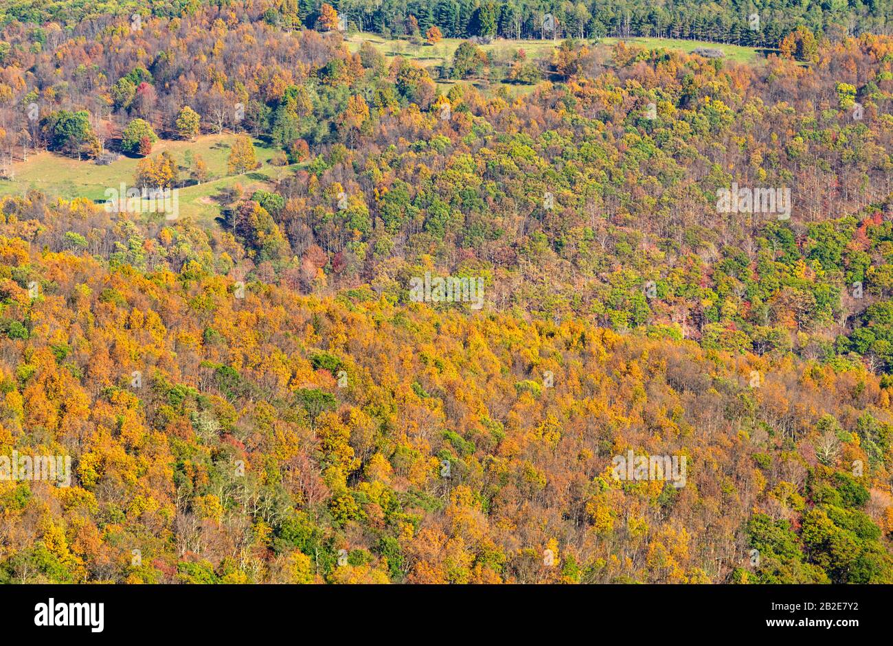 Monongahela national forest immagini e fotografie stock ad alta ...