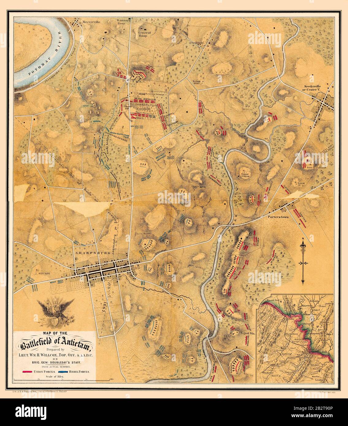 Mappa del campo di battaglia immagini e fotografie stock ad alta ...