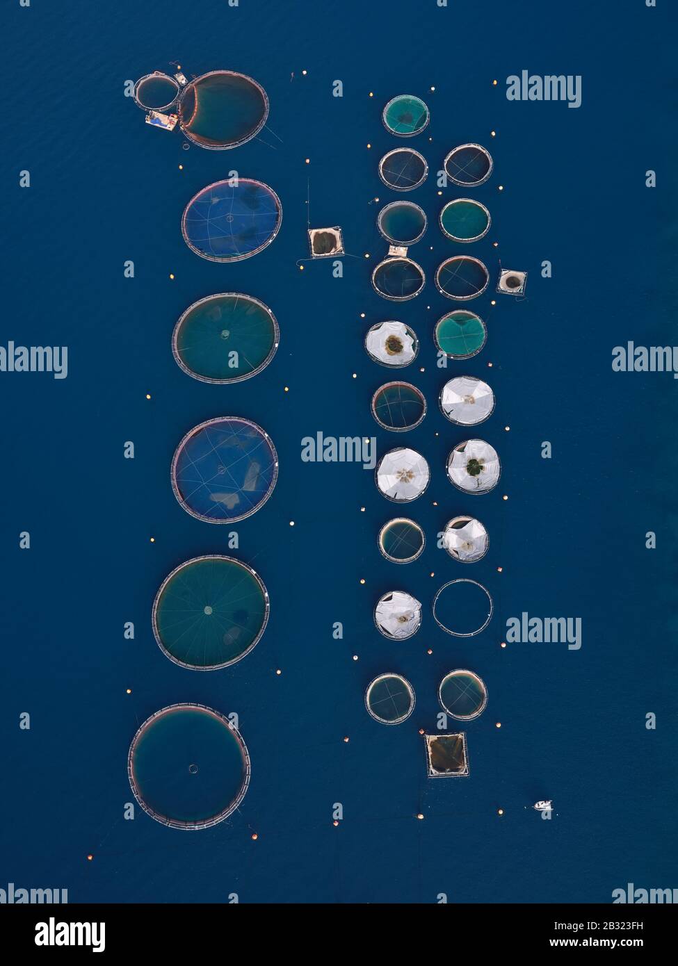 Aquaculture cage fish farming net immagini e fotografie stock ad alta ...