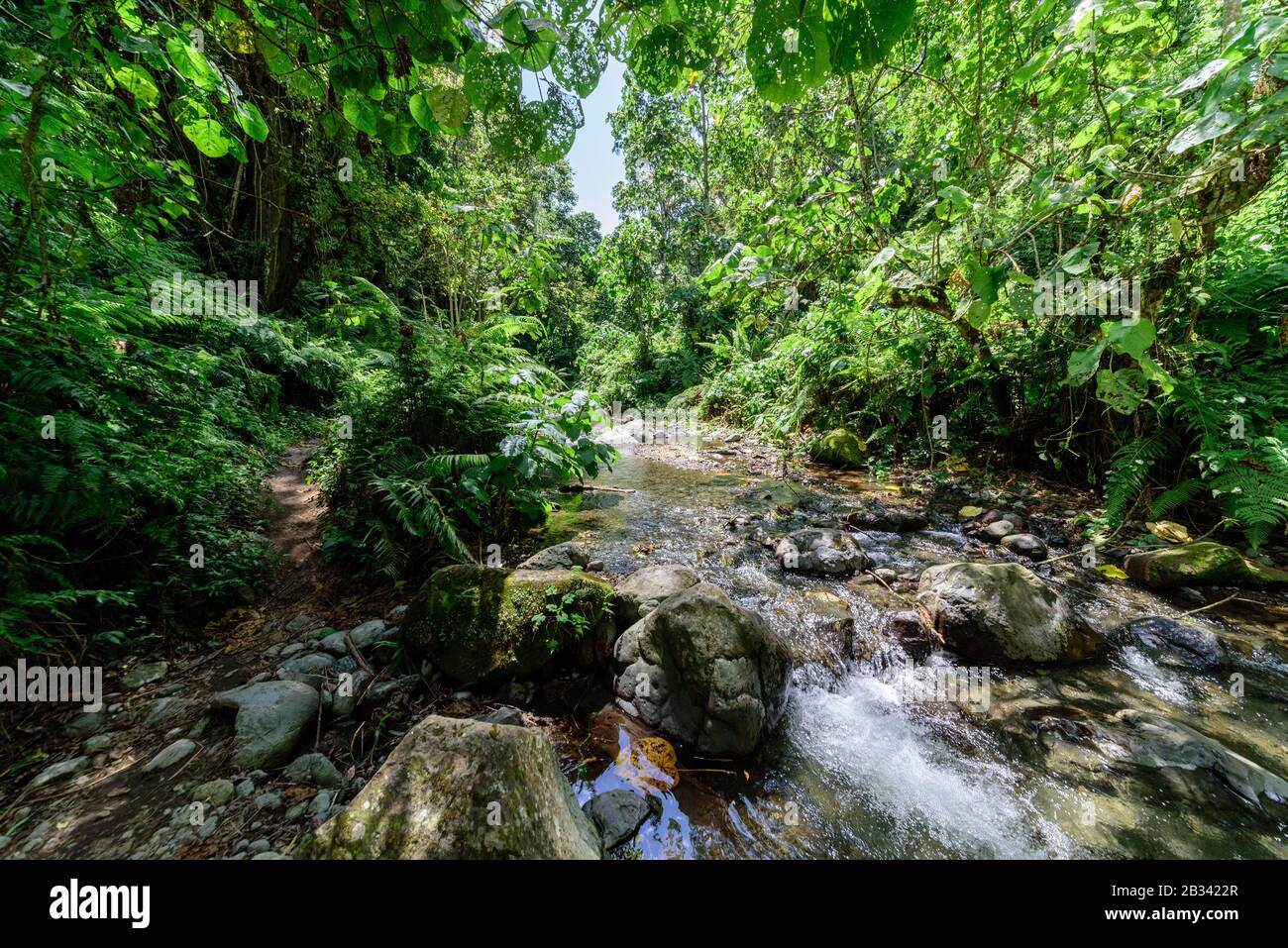 Vicino ad arusha immagini e fotografie stock ad alta risoluzione - Alamy