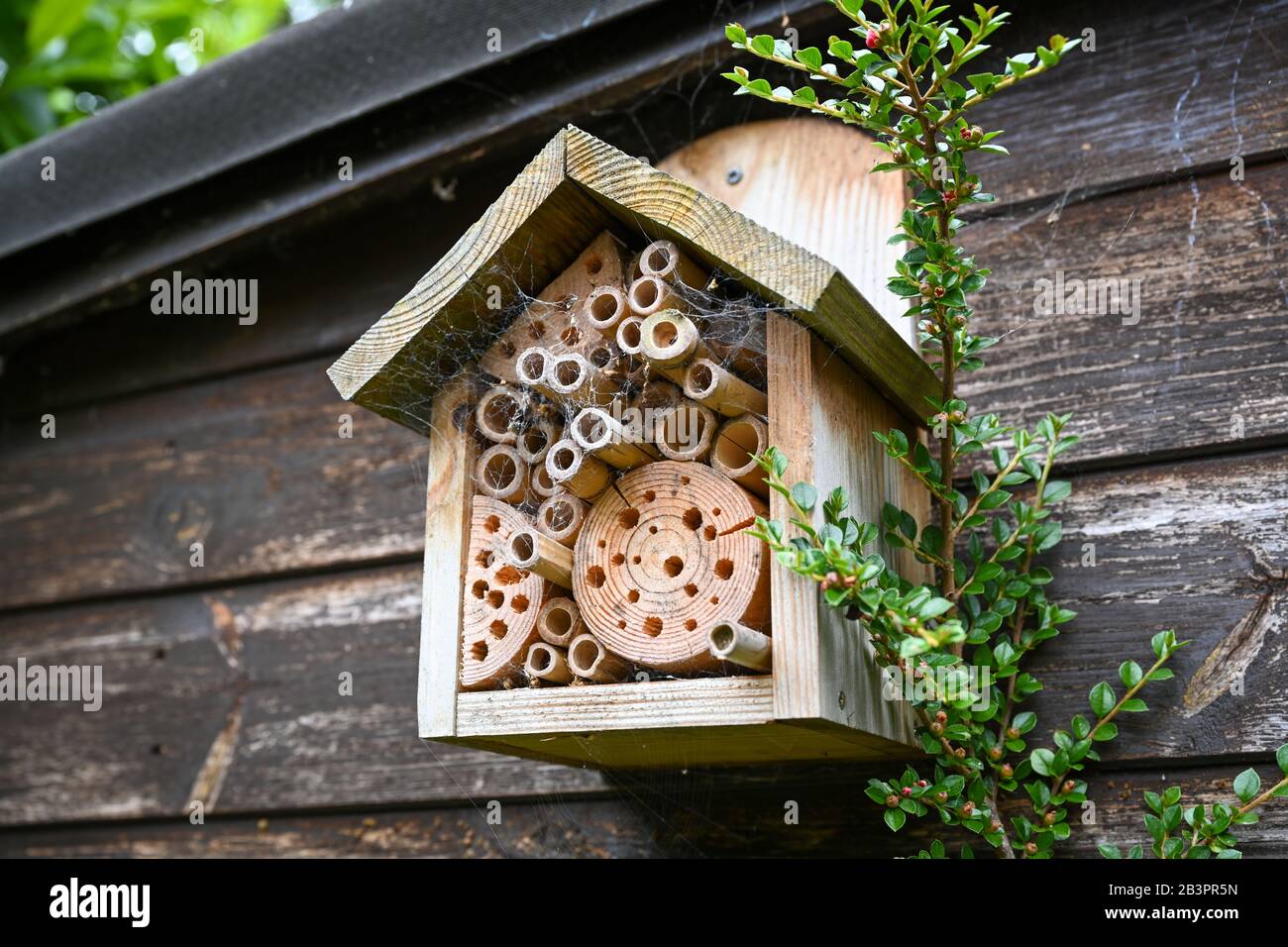 Casa in legno per insetti immagini e fotografie stock ad alta ...