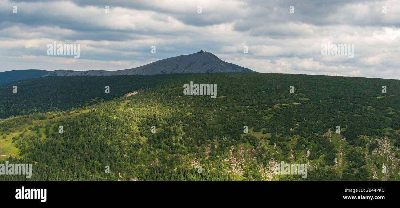 Upska hrana immagini e fotografie stock ad alta risoluzione - Alamy