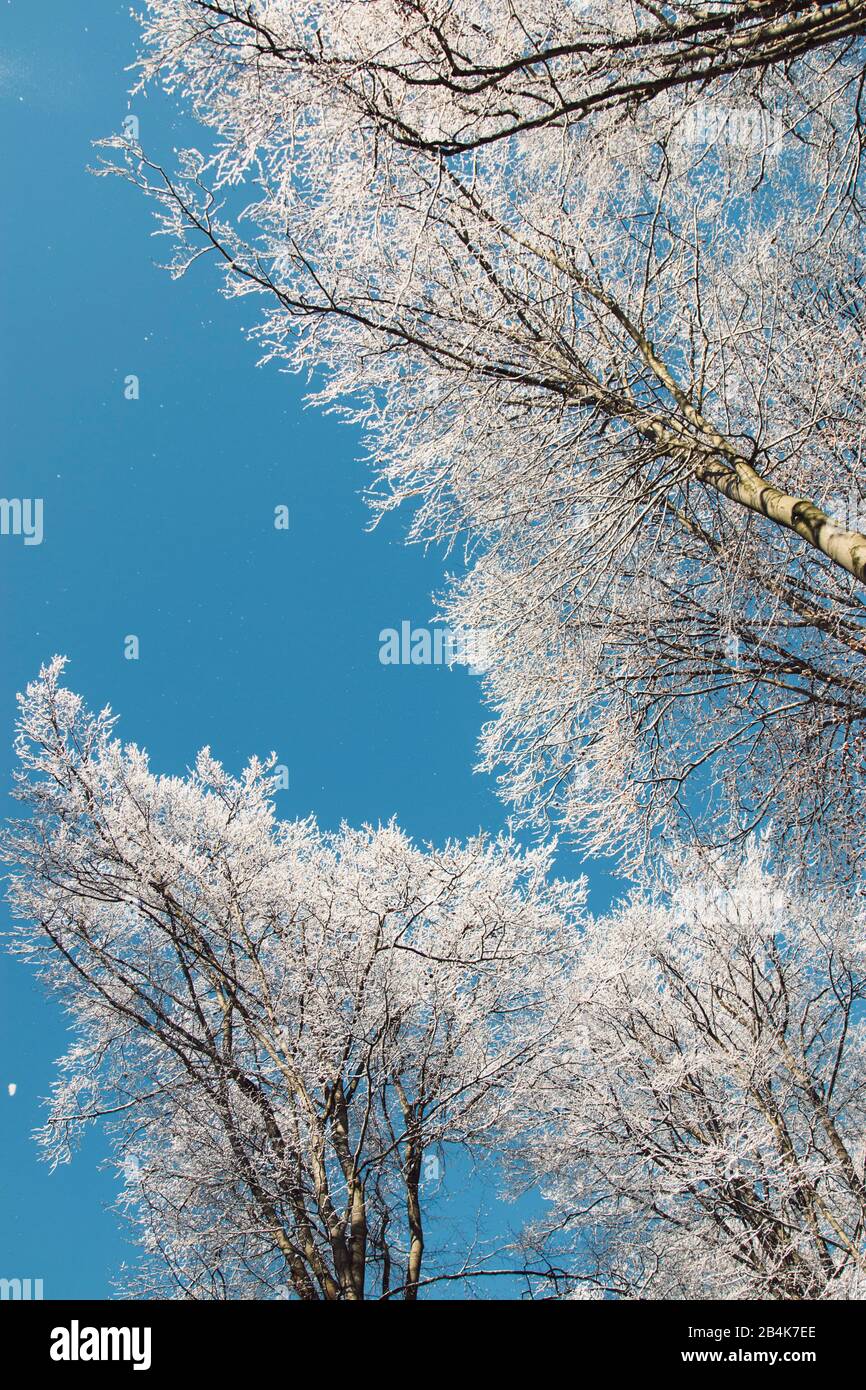 Fondo nevoso immagini e fotografie stock ad alta risoluzione - Alamy