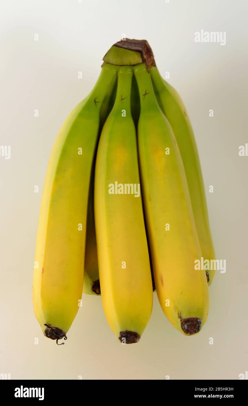 Gelbe bananen immagini e fotografie stock ad alta risoluzione - Alamy