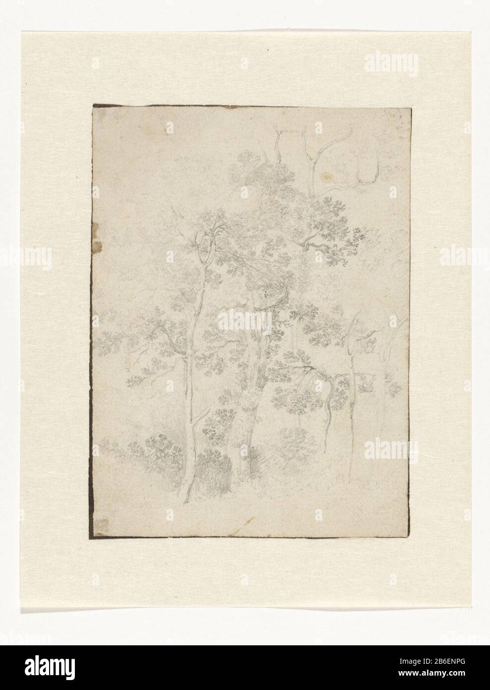 H 203 mm l 150 mm immagini e fotografie stock ad alta risoluzione - Alamy