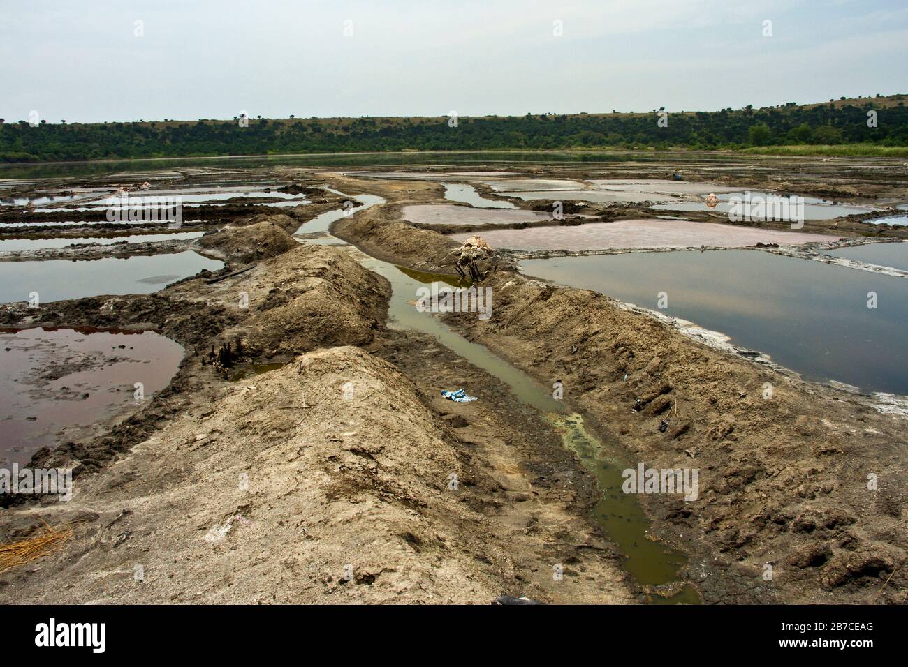 Le acque salate del cratere e le temperature calde permettono la ...