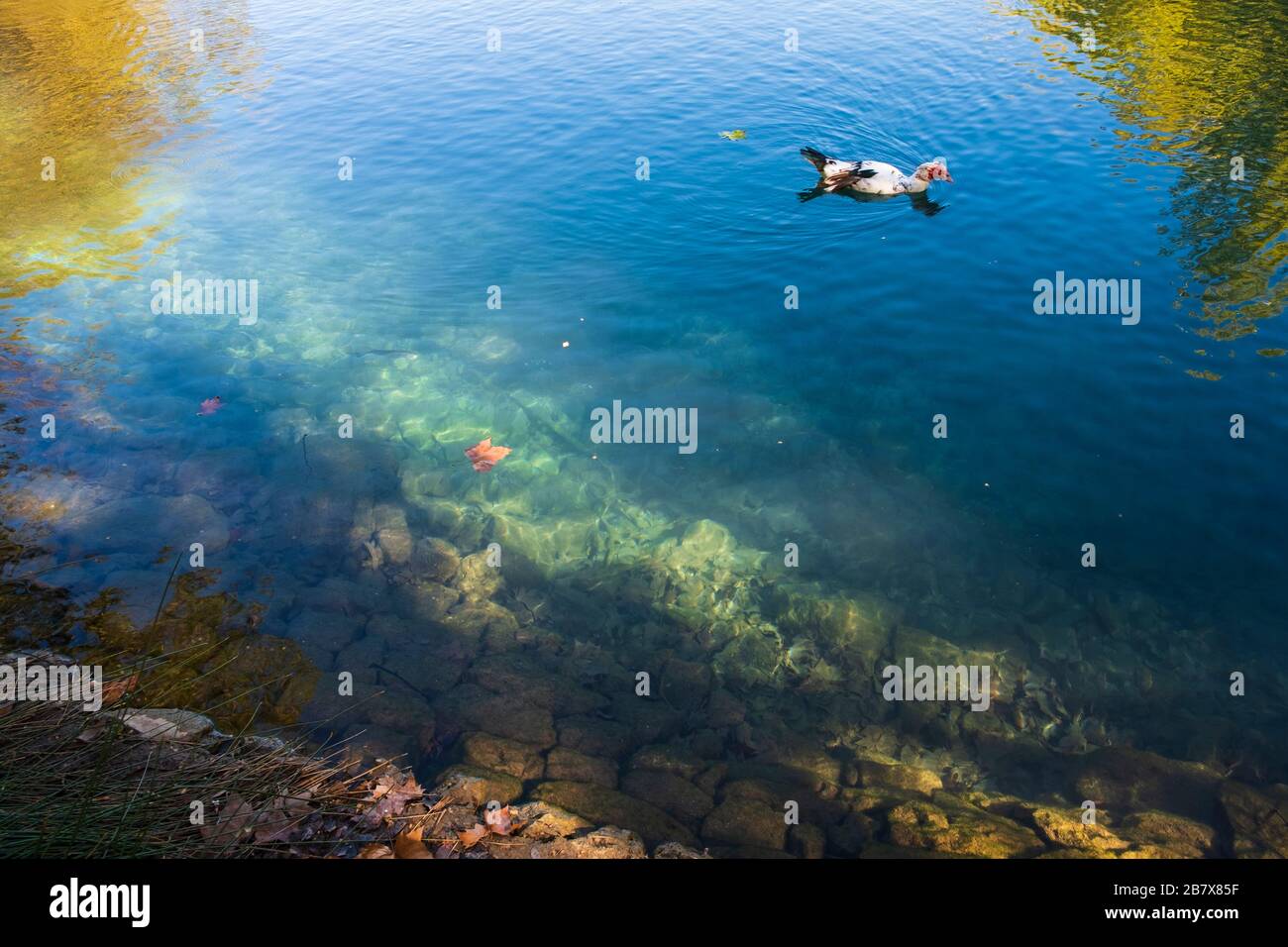 Anna valencia immagini e fotografie stock ad alta risoluzione - Alamy