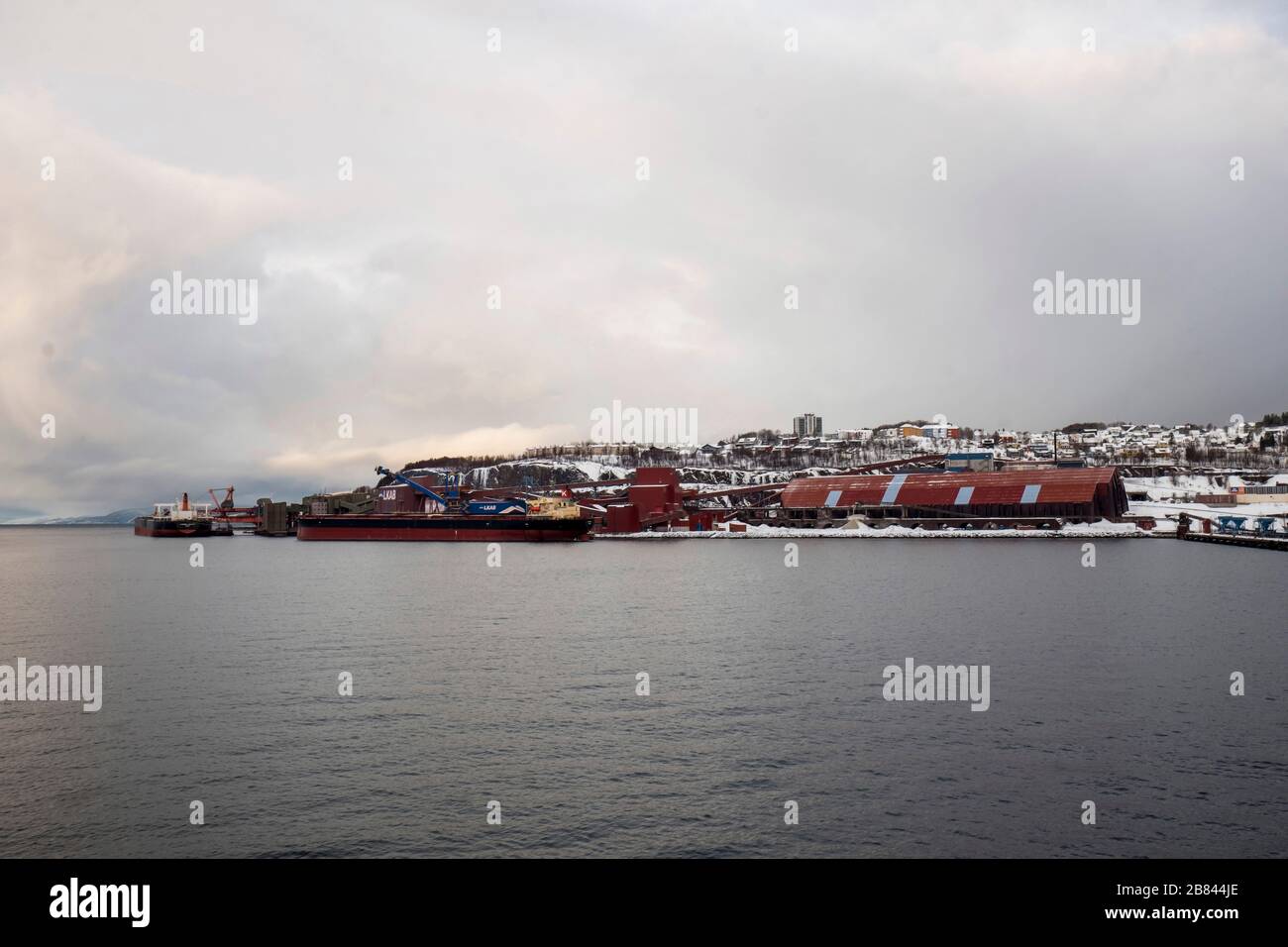 Polar park narvik norway immagini e fotografie stock ad alta ...