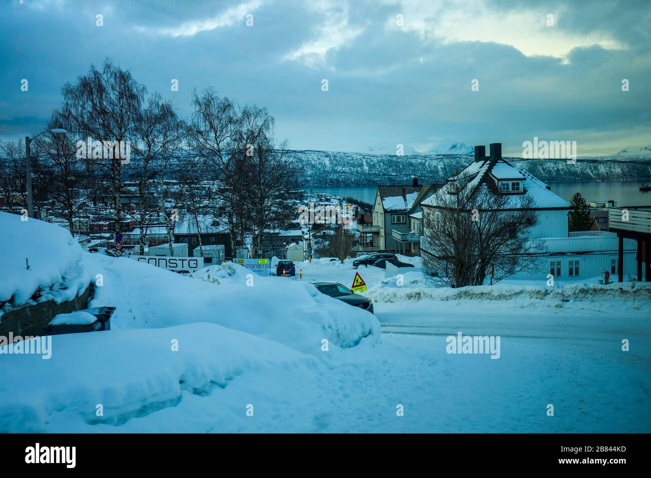 Polar park narvik norway immagini e fotografie stock ad alta ...