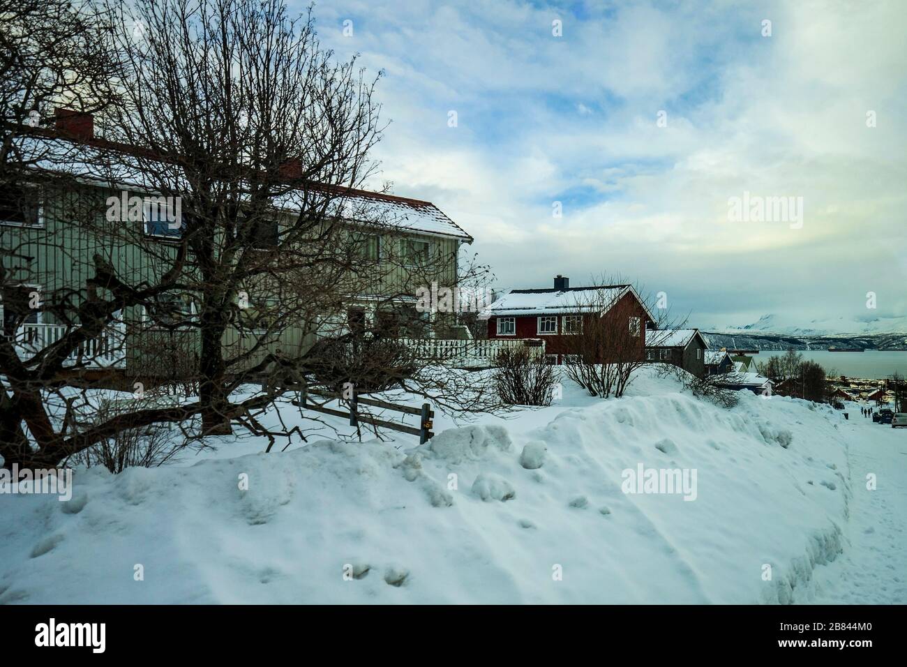 Polar park narvik norway immagini e fotografie stock ad alta ...