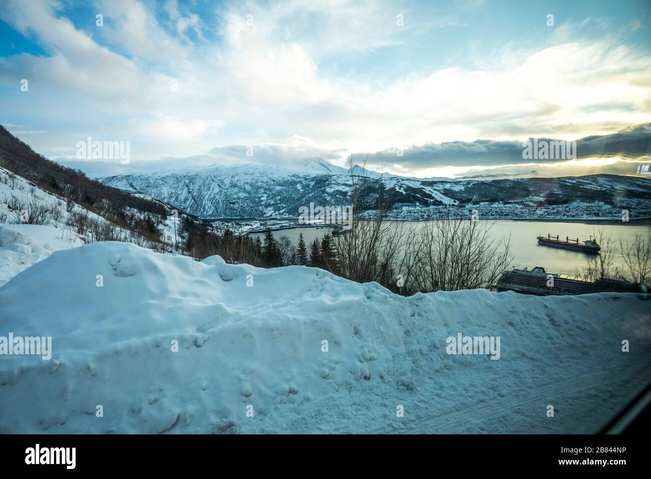 Polar park narvik norway immagini e fotografie stock ad alta ...