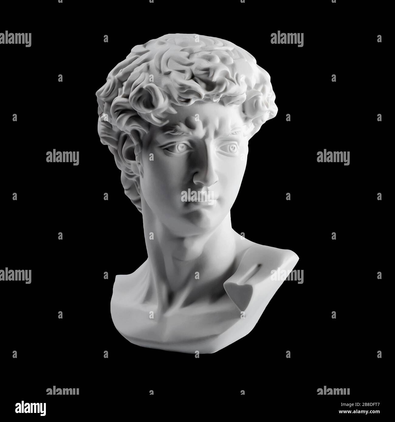 Statua di gesso della testa di Davide. Copia in gesso della statua del ...