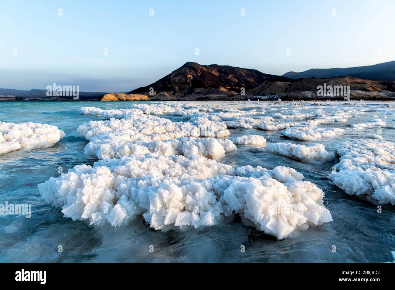Africa, Gibuti, Lago Assal. Cristalli di sale che emergono dall'acqua ...