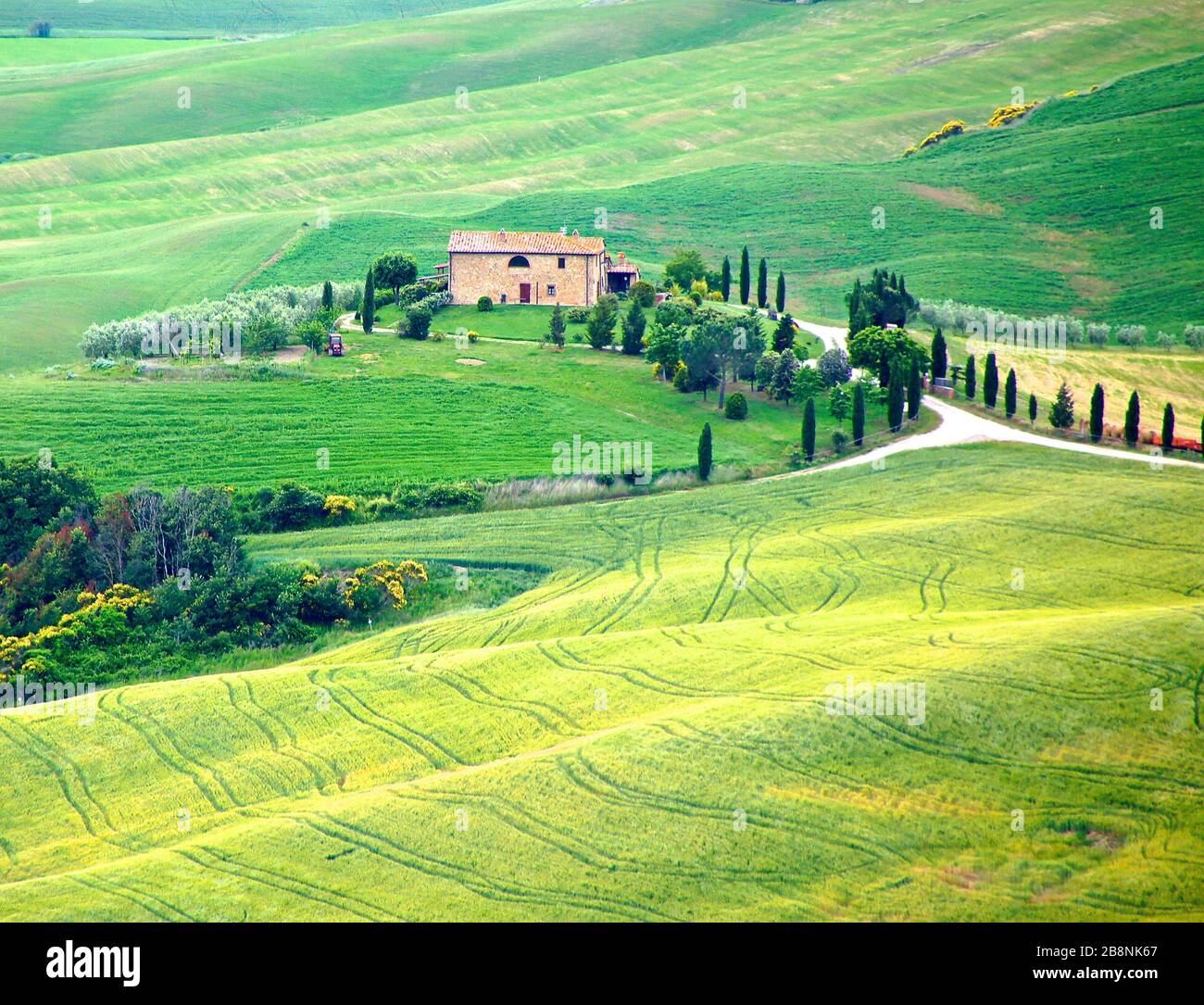 Paesaggio di pascoli alberati immagini e fotografie stock ad alta ...