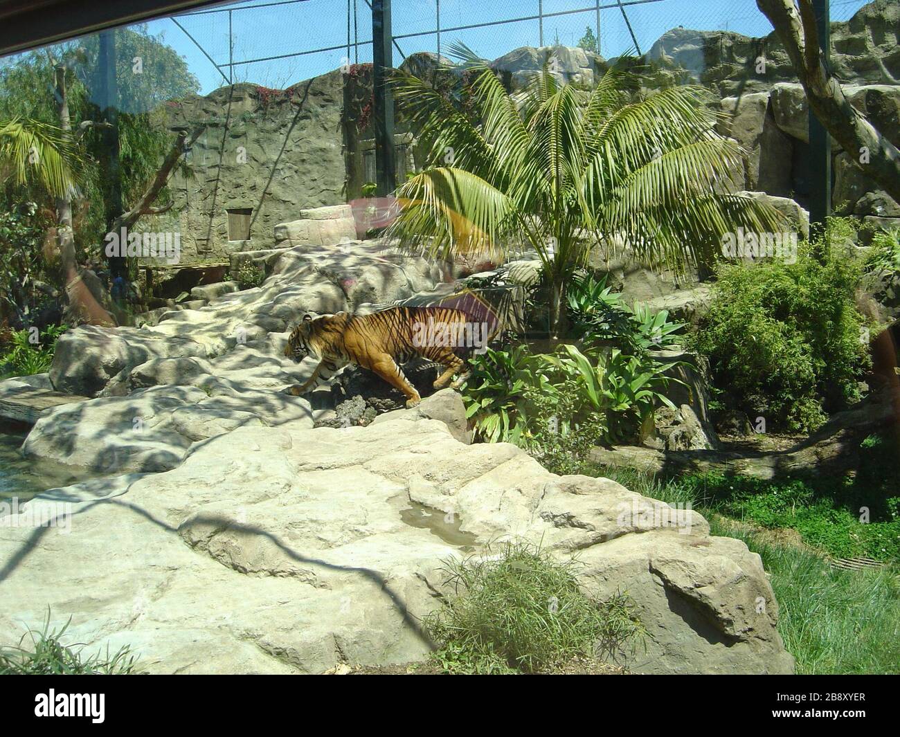 Bestiality or zoophilia immagini e fotografie stock ad alta risoluzione ...