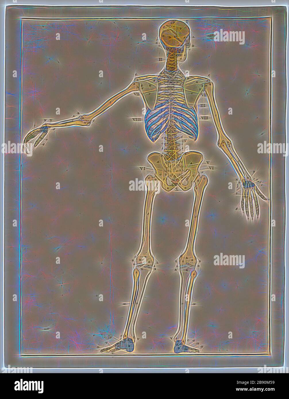 Uno scheletro umano in movimento immagini e fotografie stock ad alta ...