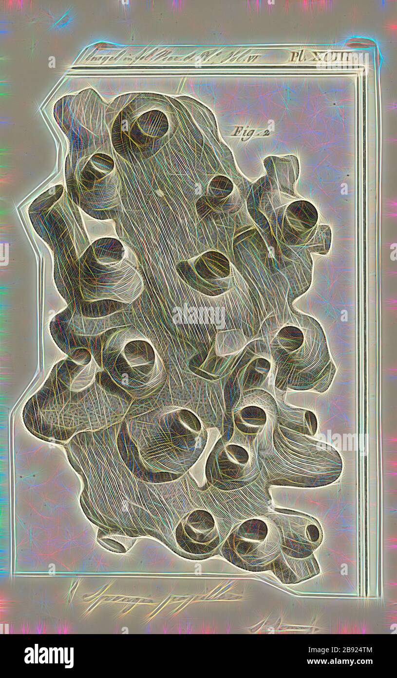 Spongia officinalis immagini e fotografie stock ad alta risoluzione - Alamy