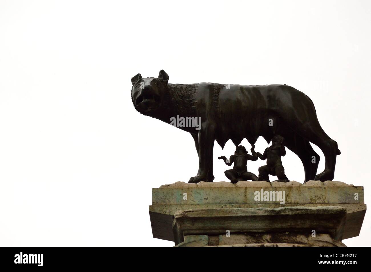 Il lupo Capitolino in Piazza del Campidoglio in giornata di pioggia ...