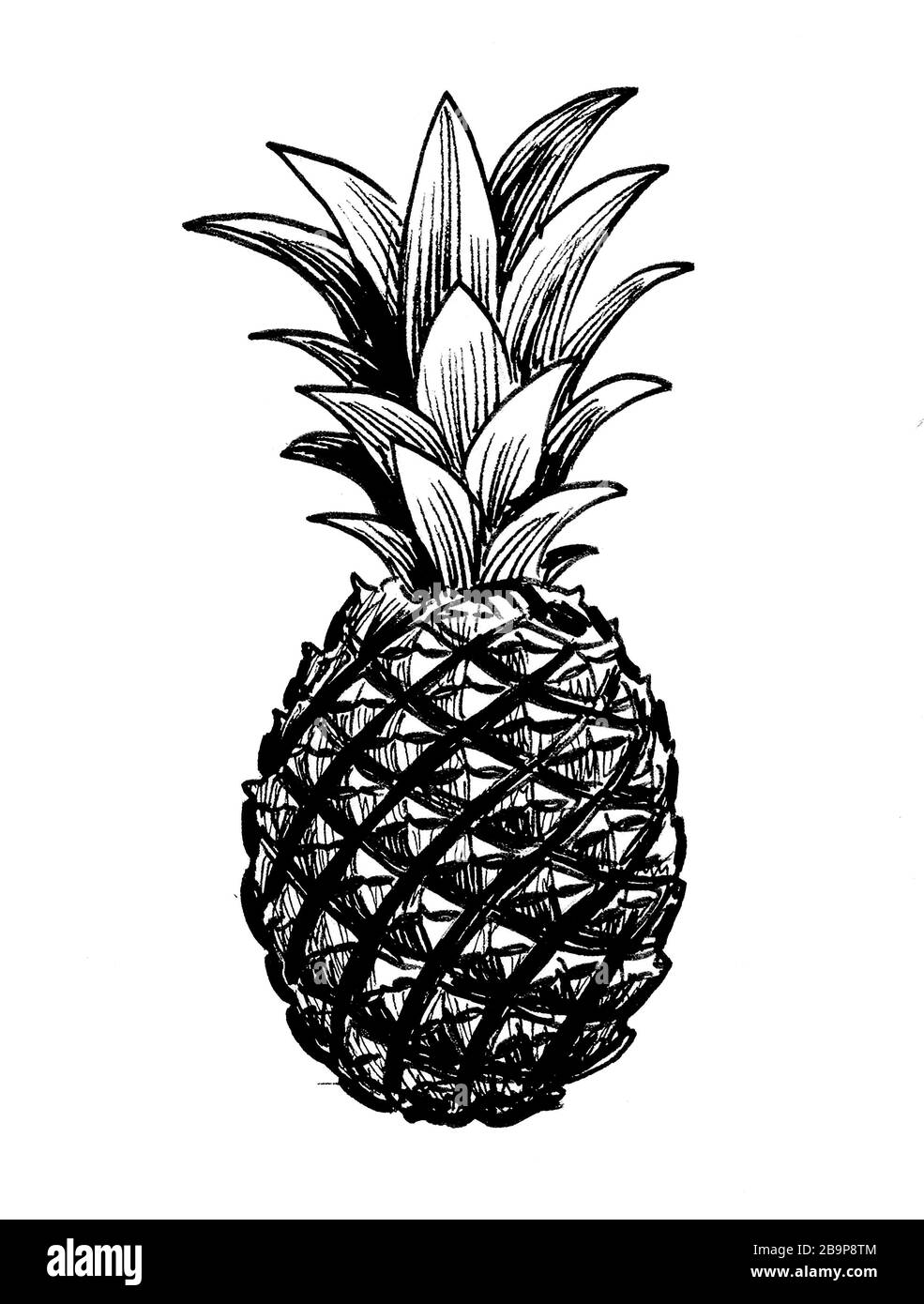 Disegno di ananas Foto e Immagini Stock in Bianco e Nero - Alamy