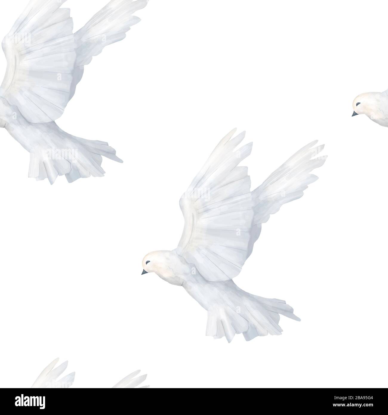 Colomba bianca e ulivo immagini e fotografie stock ad alta risoluzione ...