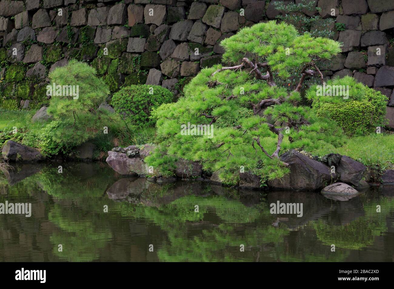 Parco hibiya del giappone immagini e fotografie stock ad alta ...