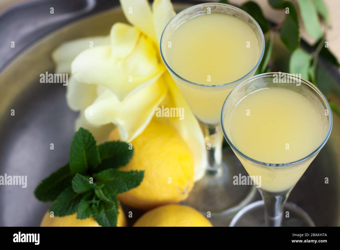 Limoncello in eleganti bicchieri di liquore con limoni, menta e rosa ...