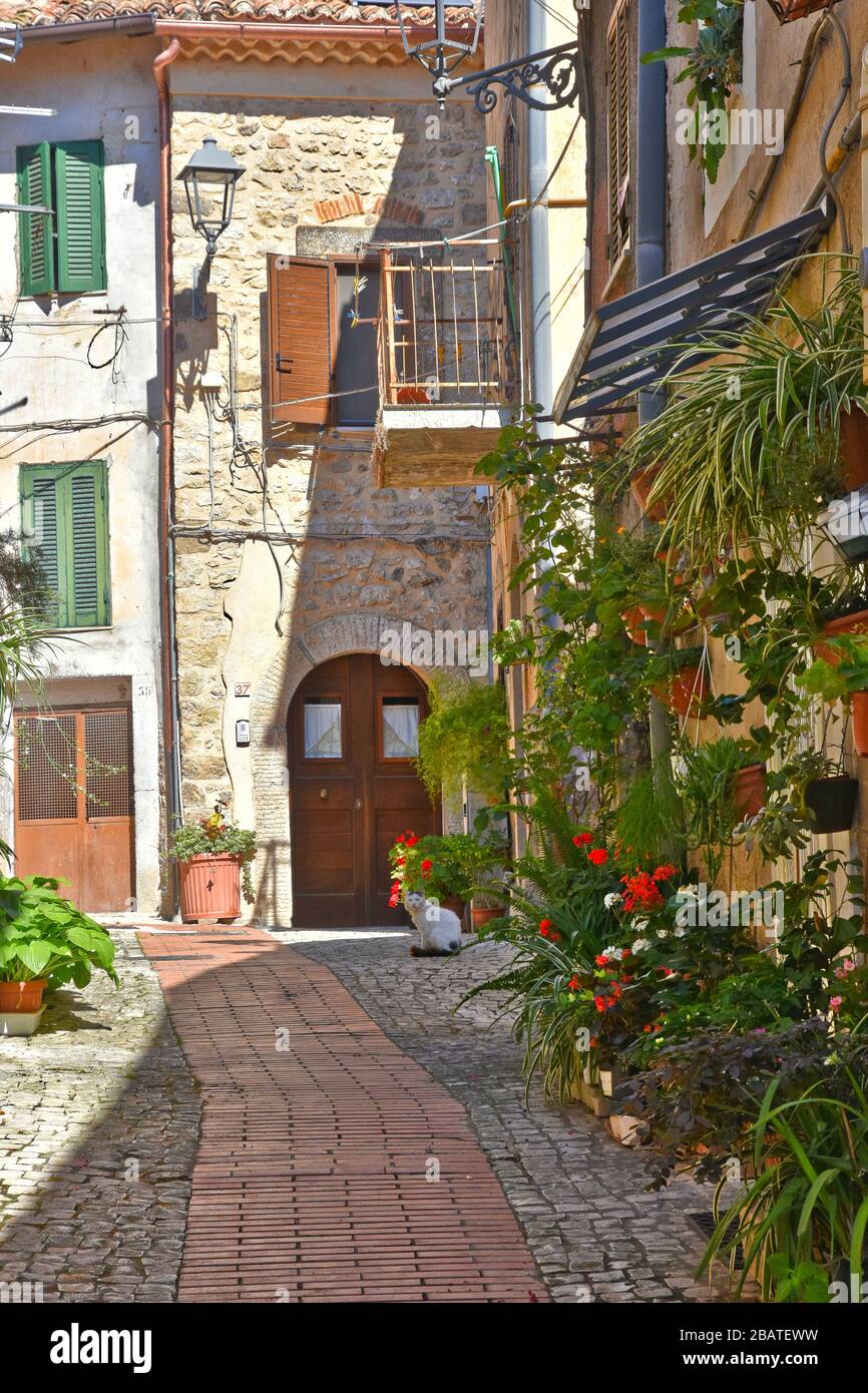 Una stradina tra le case in pietra di Prossedi, borgo medievale della ...