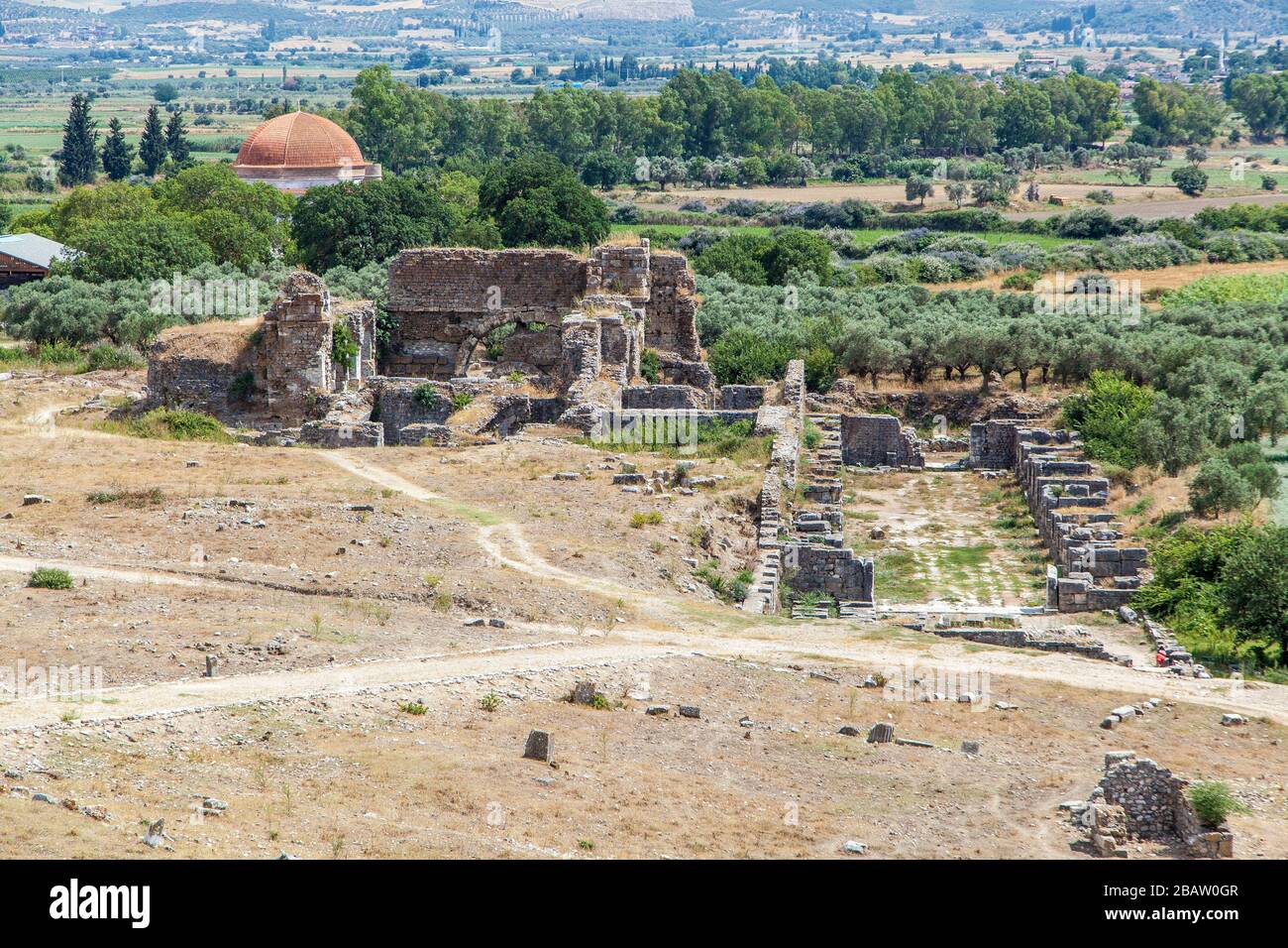 Mileto di tacchino immagini e fotografie stock ad alta risoluzione - Alamy
