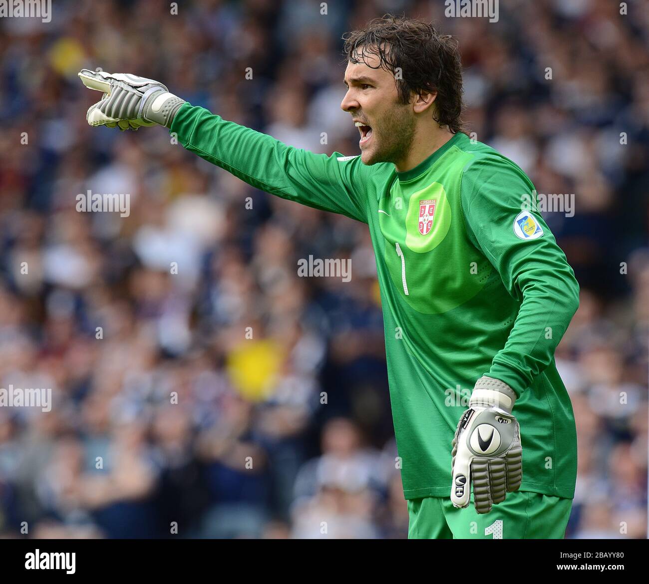 Vladimir stojkovic immagini e fotografie stock ad alta risoluzione - Alamy