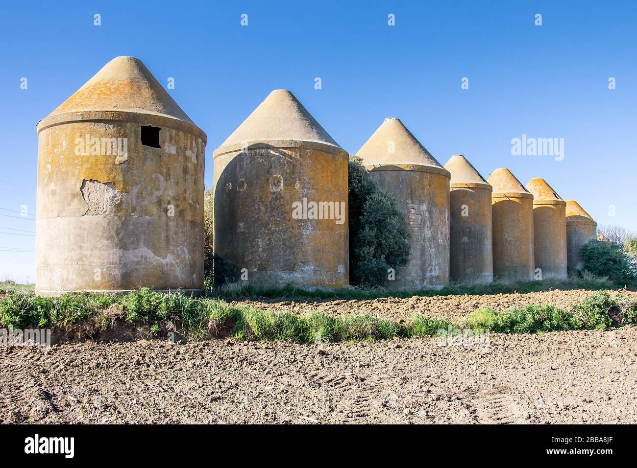 Vecchi silos per cereali e campo immagini e fotografie stock ad alta ...