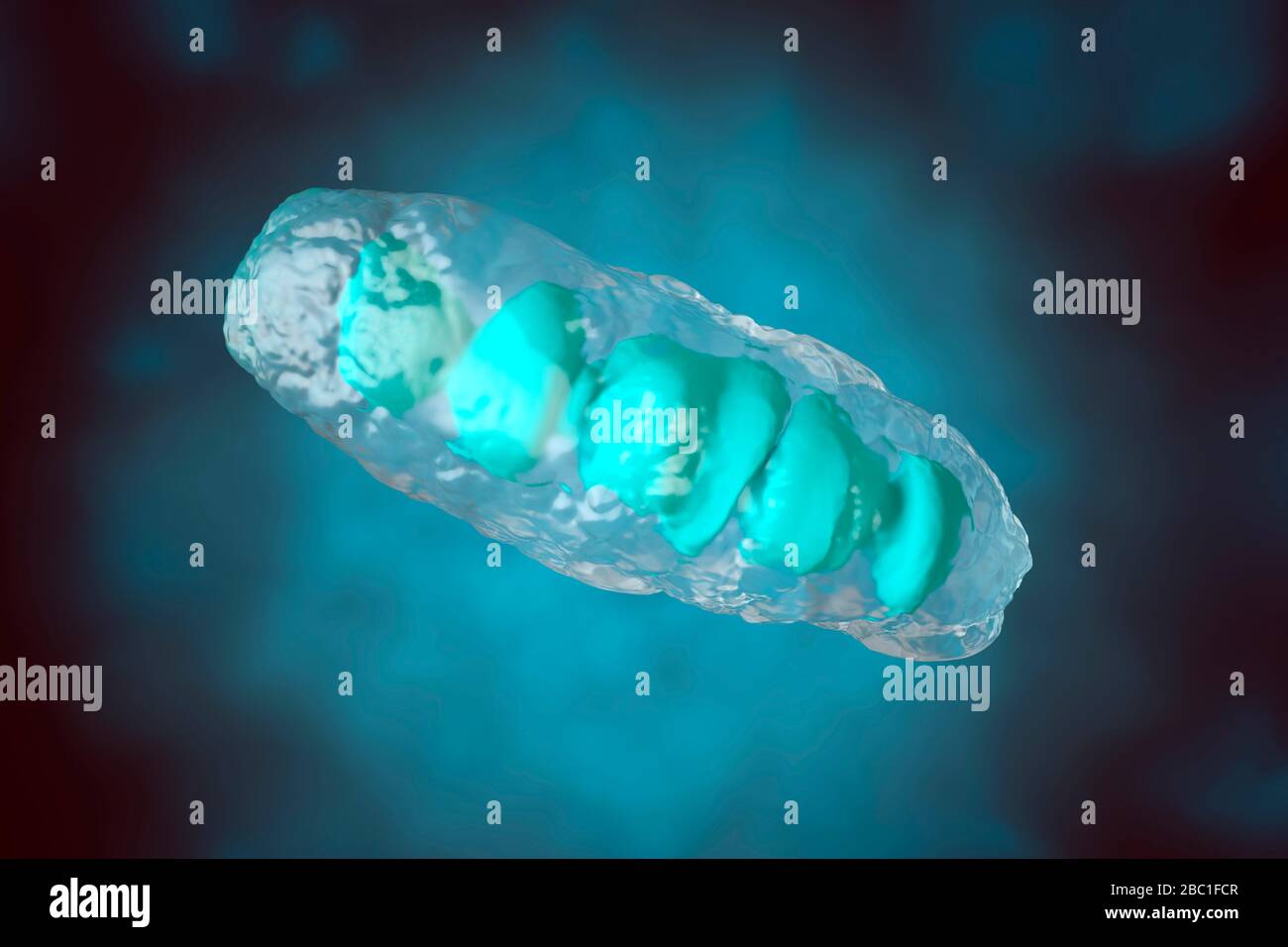 Cellula eucariotica immagini e fotografie stock ad alta risoluzione - Alamy