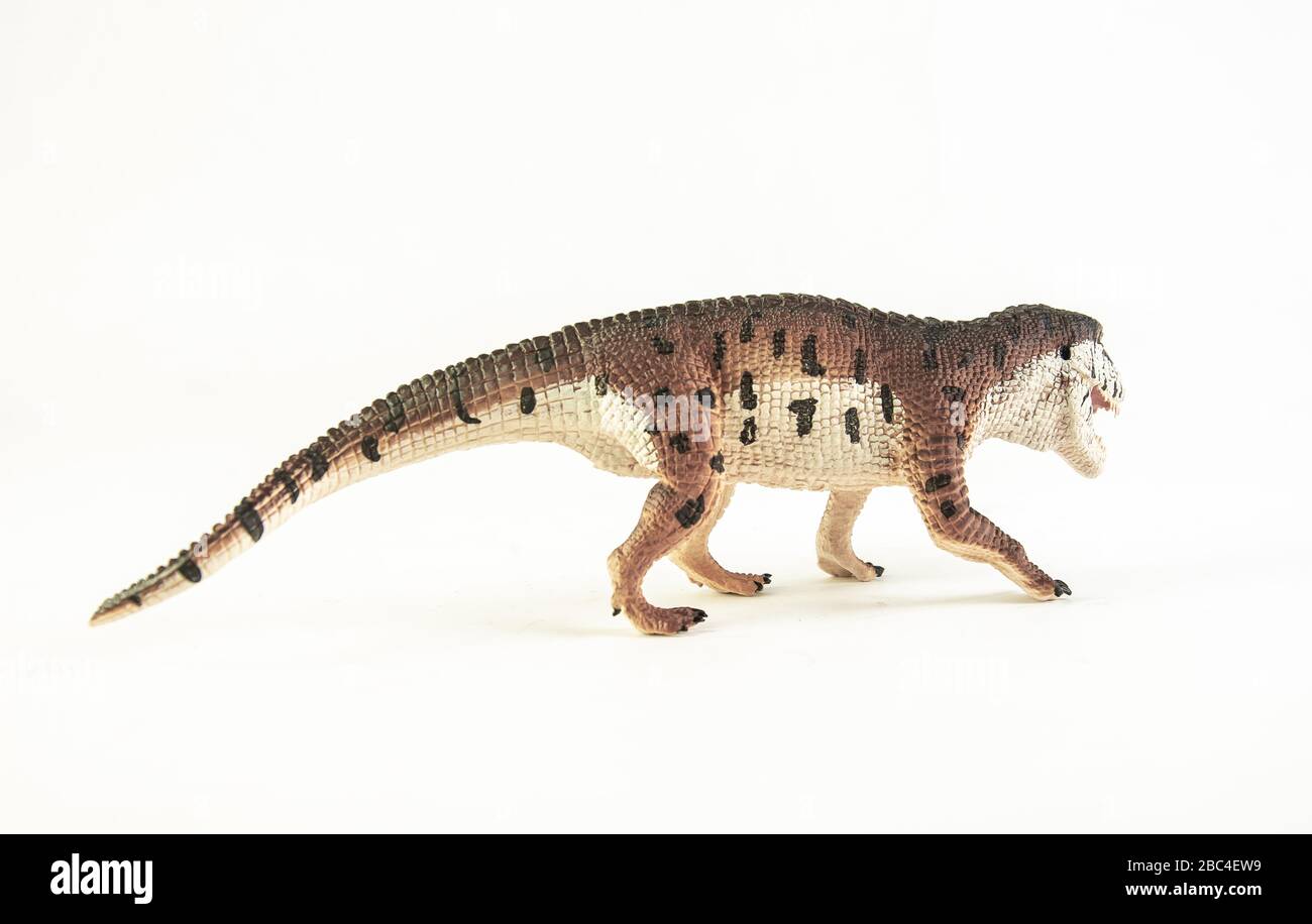 Prestosuchus chiniquensis immagini e fotografie stock ad alta ...