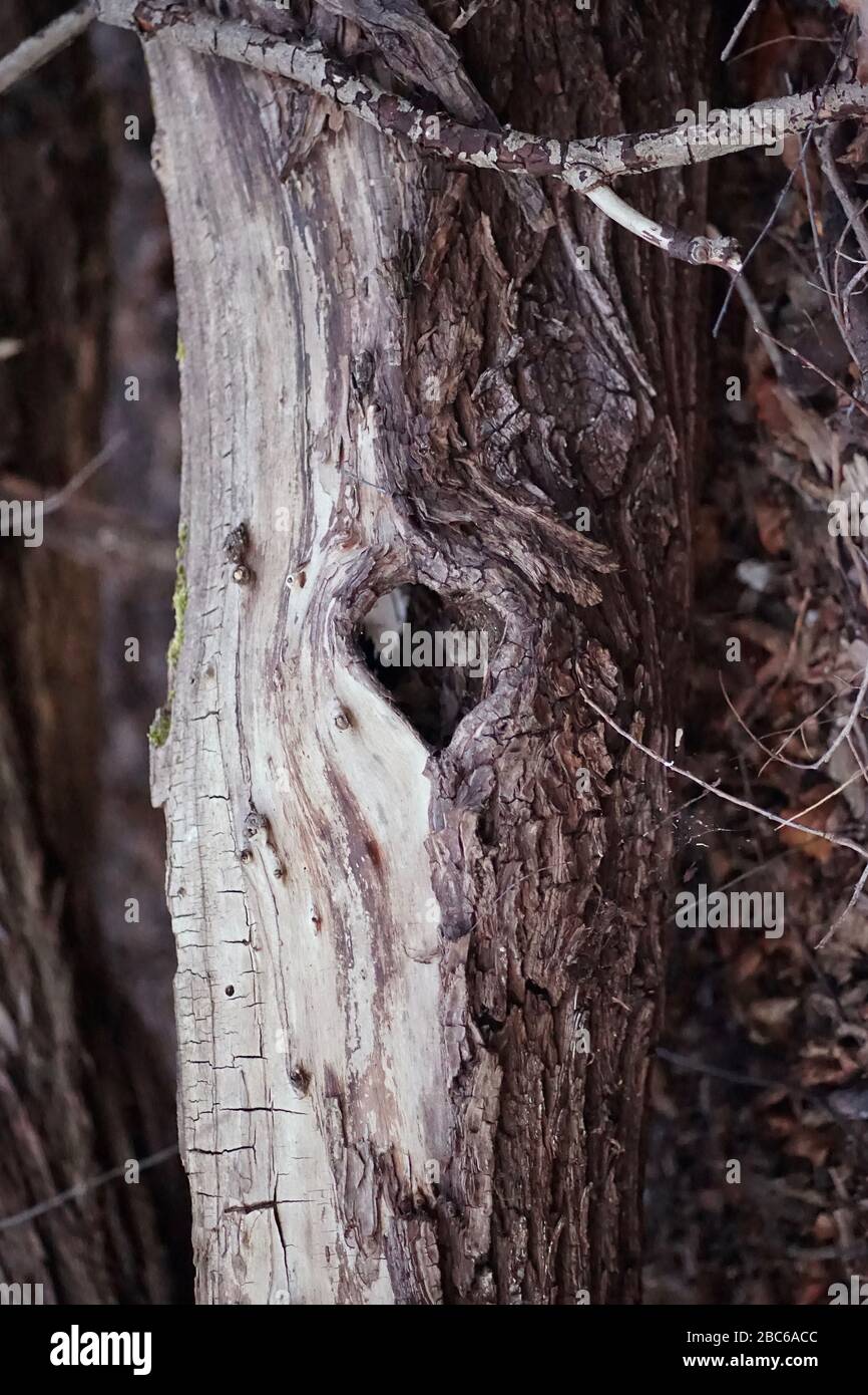 Buco Nel Bagagliaio Immagini e Fotos Stock - Alamy