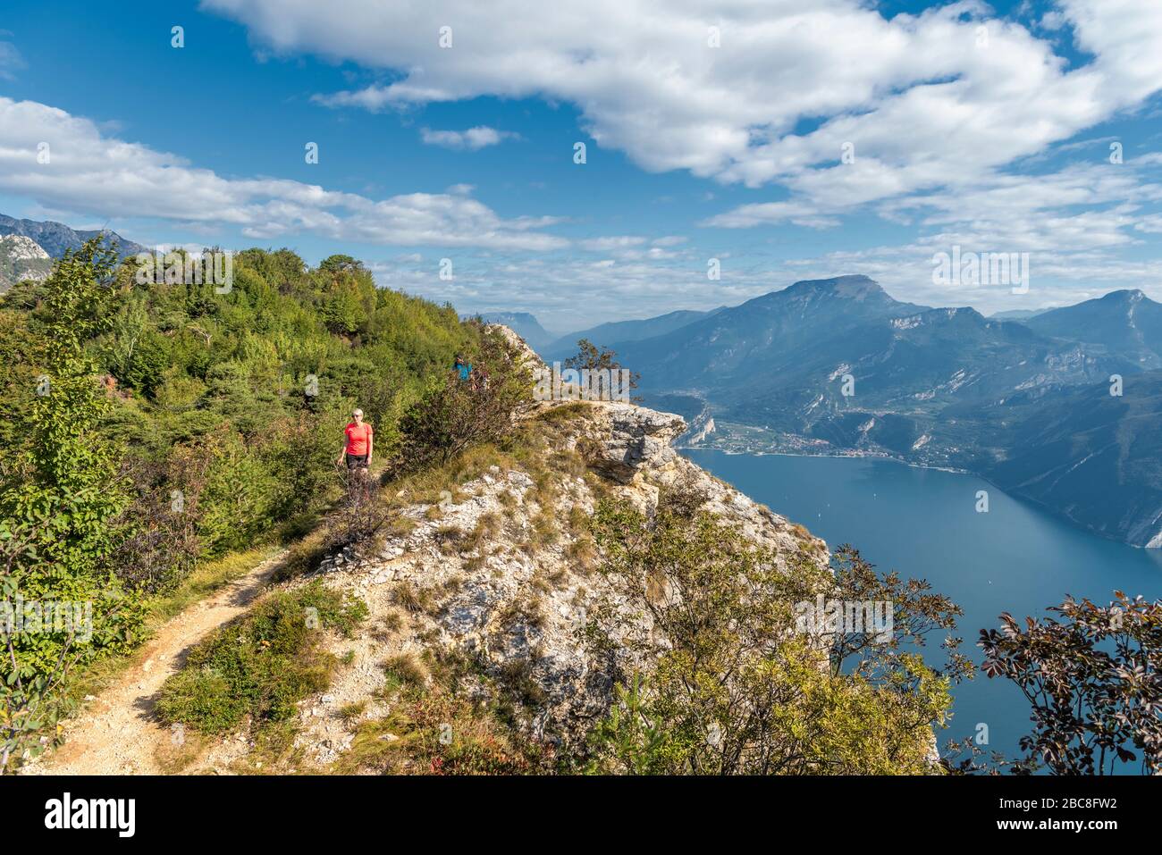 Punta larici immagini e fotografie stock ad alta risoluzione - Alamy