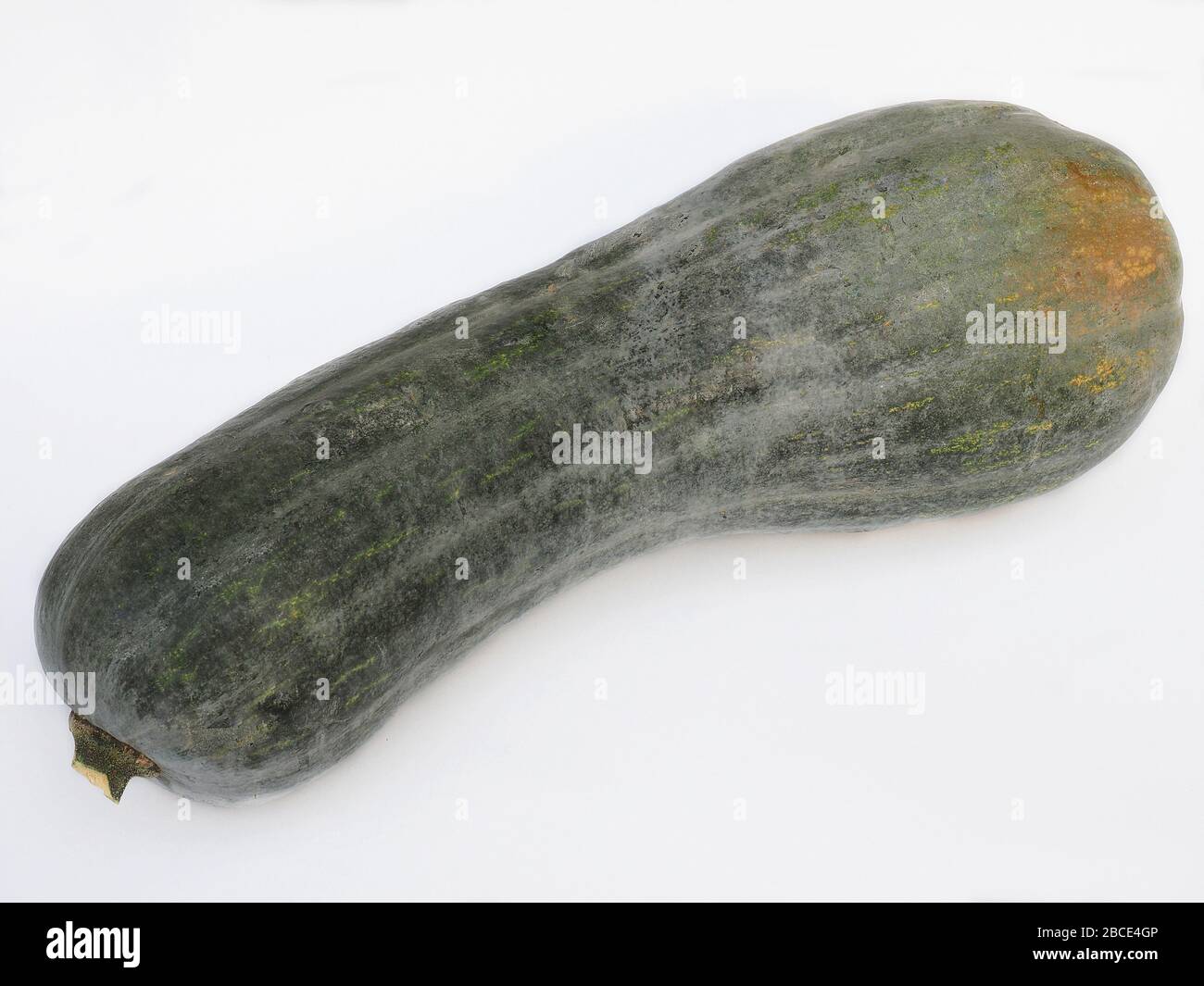 Zucca lunga di napoli immagini e fotografie stock ad alta risoluzione ...