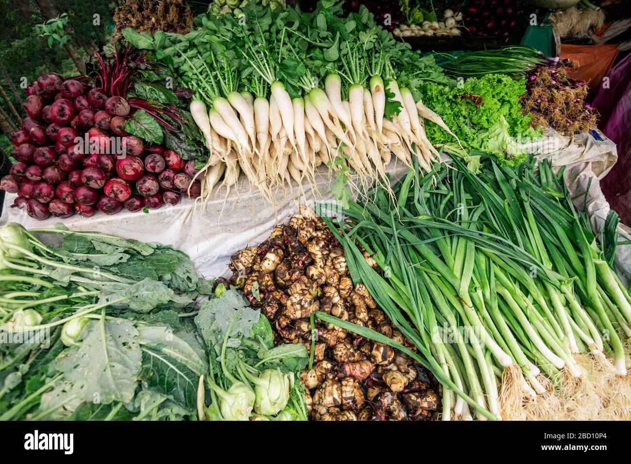 Verdure fresche in kandy sri lanka immagini e fotografie stock ad alta ...