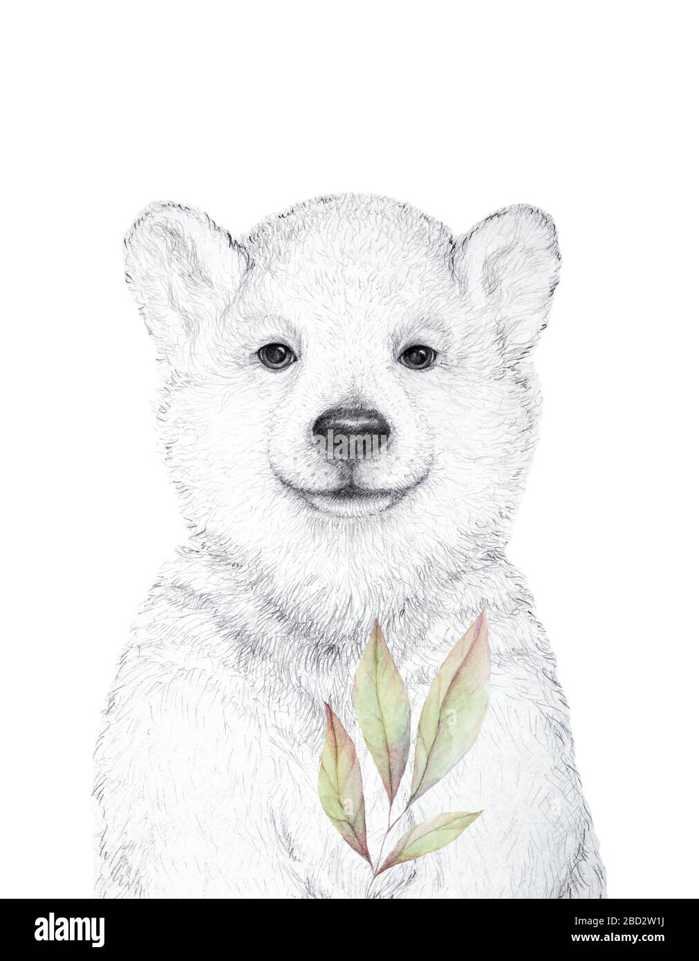 Piccolo orso immagini e fotografie stock ad alta risoluzione - Alamy