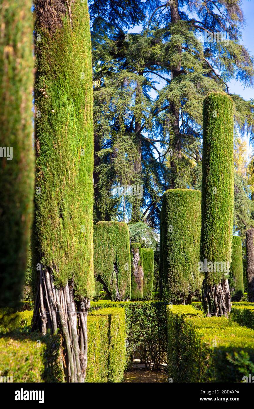 Jardin del laberinto immagini e fotografie stock ad alta risoluzione ...
