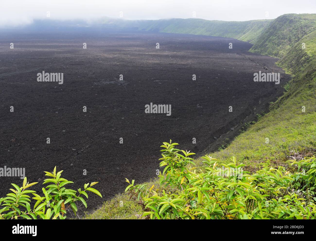 Vulcano a scudo immagini e fotografie stock ad alta risoluzione - Alamy