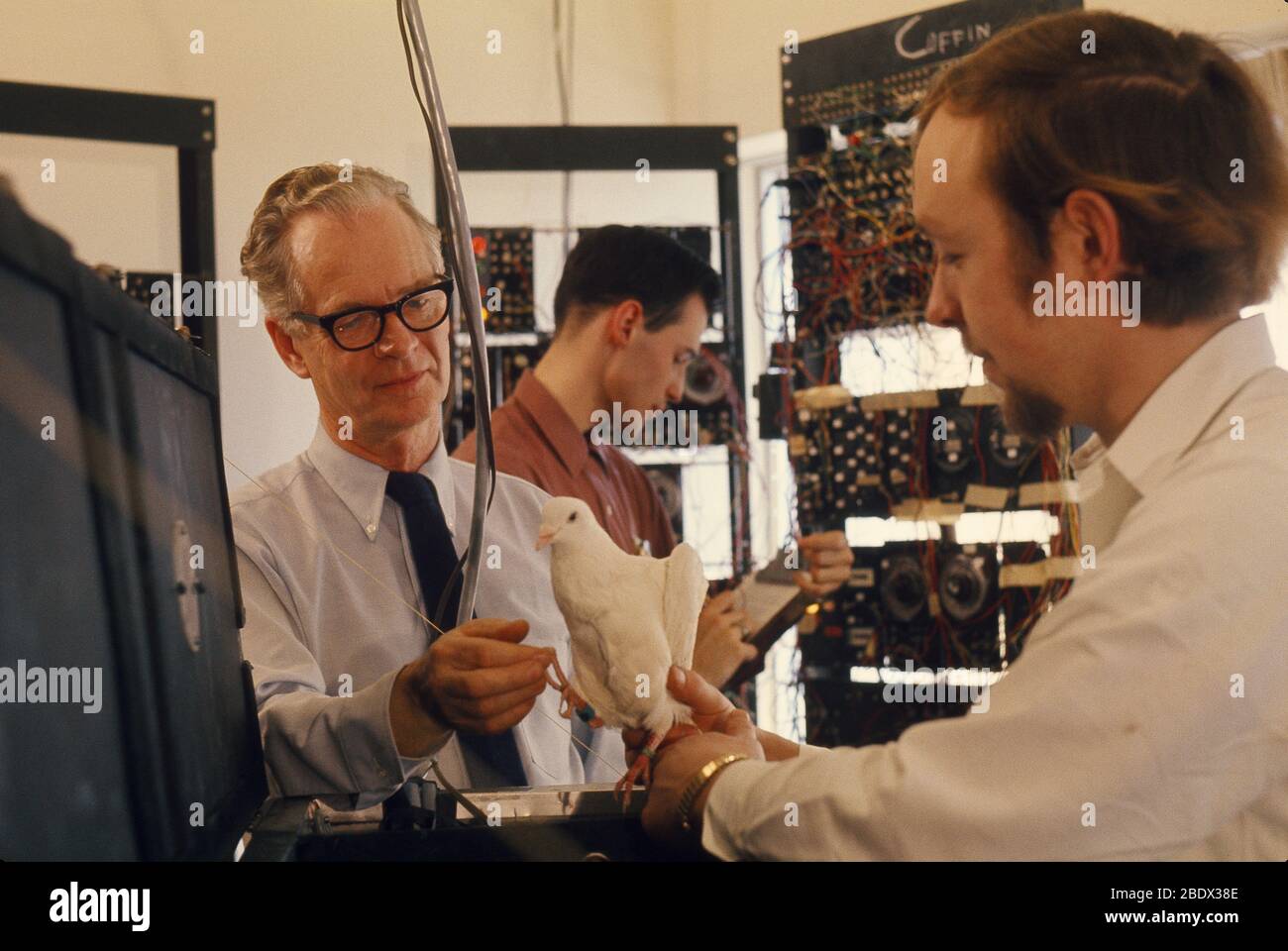 B f skinner immagini e fotografie stock ad alta risoluzione - Alamy