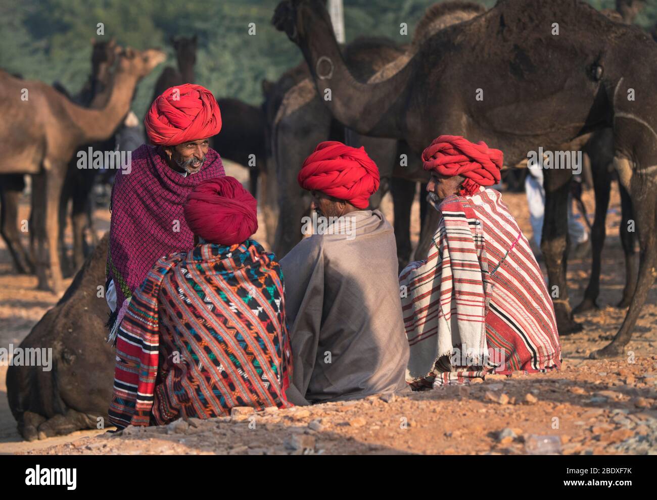 Luna piena ad ajmer immagini e fotografie stock ad alta risoluzione - Alamy
