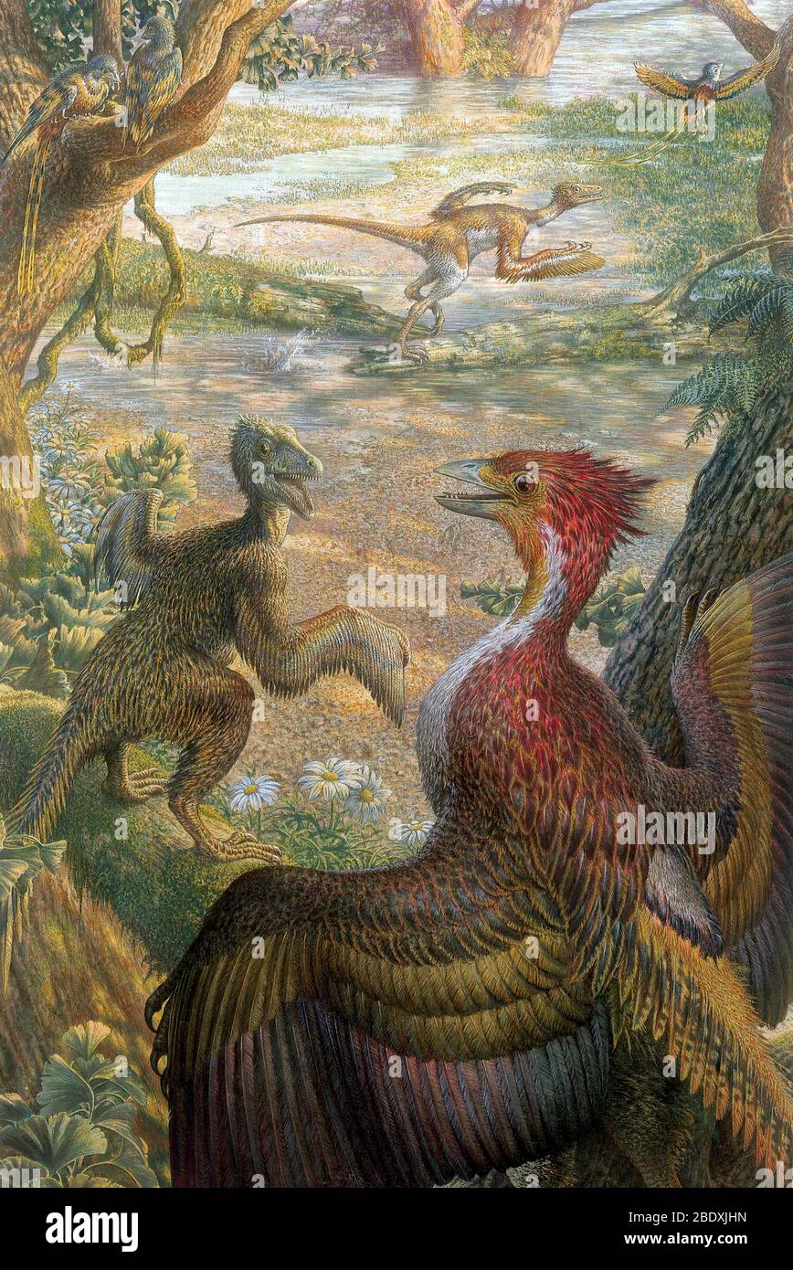 Early cretaceous immagini e fotografie stock ad alta risoluzione - Alamy