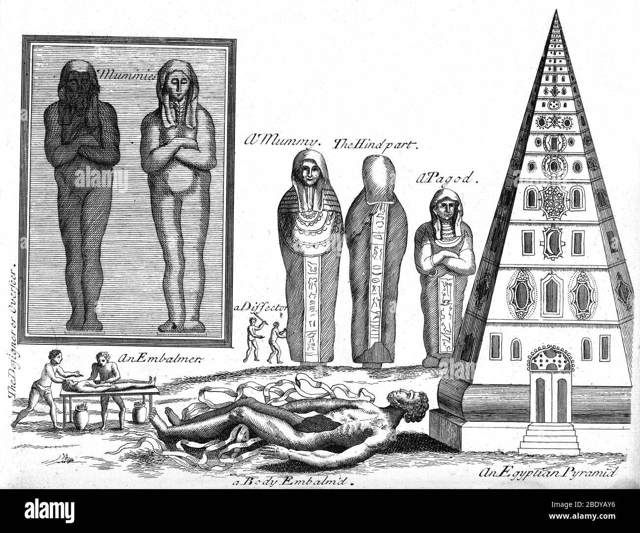 Mummification process immagini e fotografie stock ad alta risoluzione ...